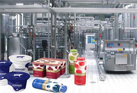 20L / h-500l / h Yogurt Production line | The best of the milk ...
